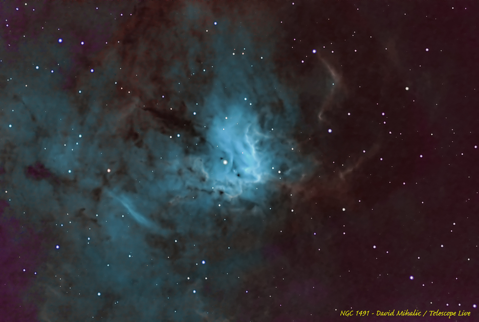 NGC 1491 in Perseus | Telescope Live NGC 1491 in Perseus | Telescope Live